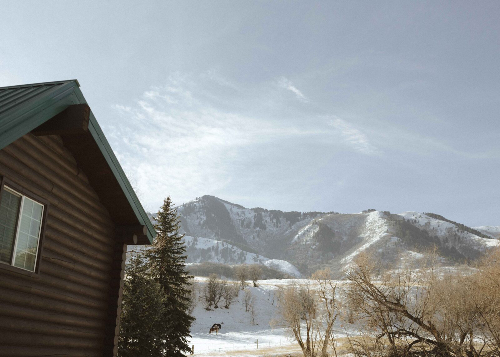 Log Cabin Engagement Photos | Josh + Addie - meganschukei.com